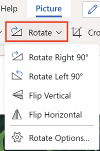 How to rotate picture in word online - WordOnlineTips.com